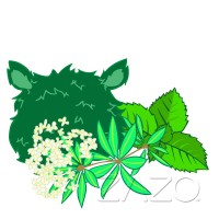 Zazo Liquid Große Auswahl & Günstige Preise | rauchershop.eu